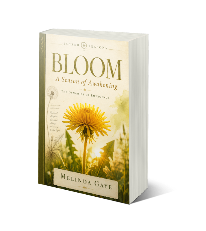 Bloom: A Season of Awakening – Buddhi Institute